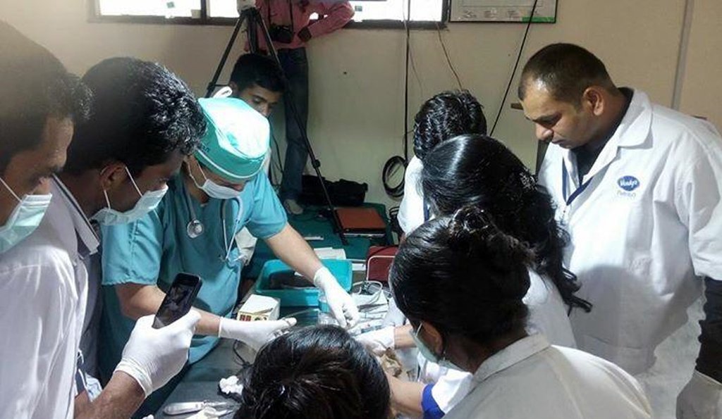 Our Work – American Association of Veterinarians of Indian Origin