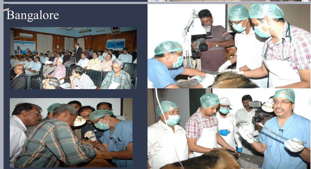 Dr. Ravi Murarka in India – American Association of Veterinarians of ...