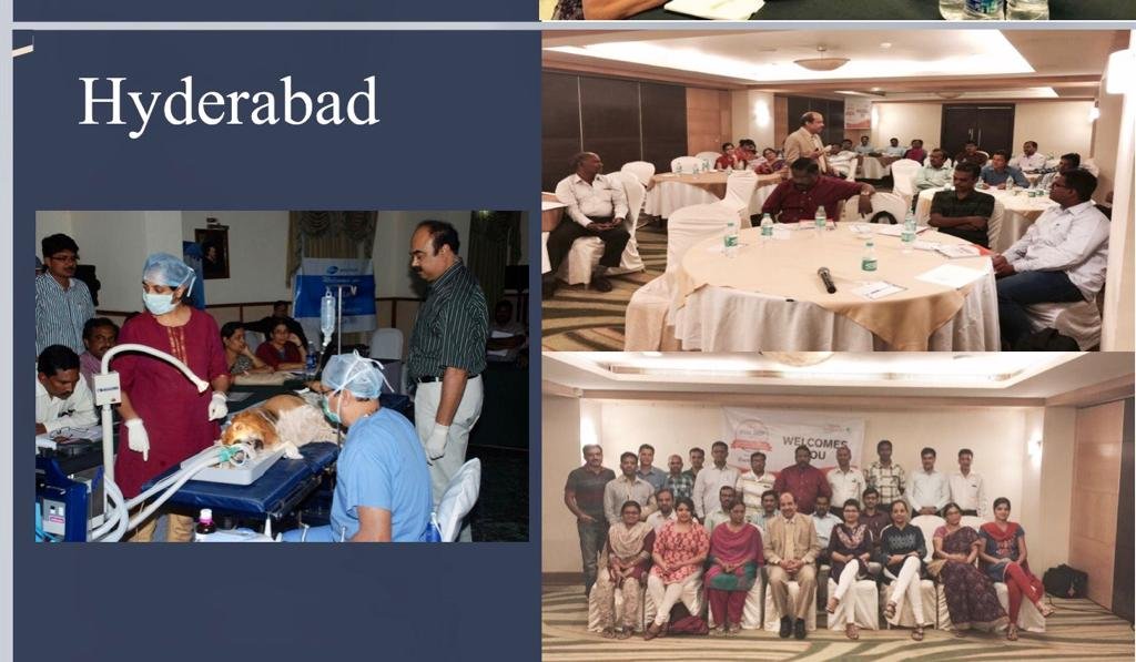 Dr. Ravi Murarka in India – American Association of Veterinarians of ...