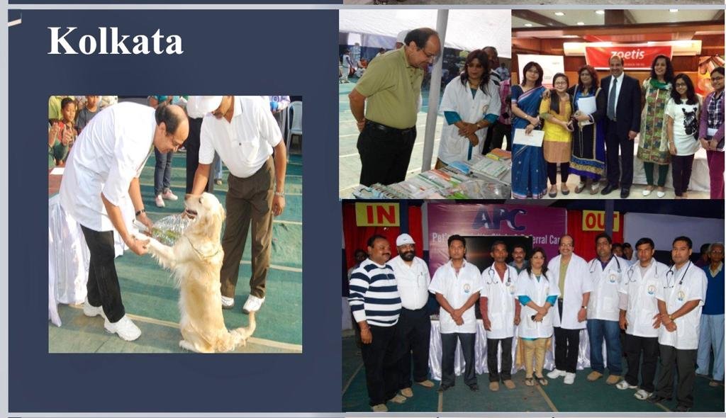 Dr. Ravi Murarka in India – American Association of Veterinarians of ...