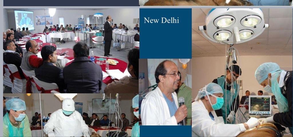 Dr. Ravi Murarka in India – American Association of Veterinarians of ...